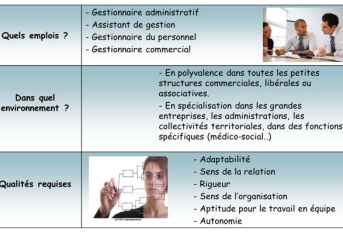Bac Pro Assistance à la gestion des organisations et de leurs activités (AGOrA) | Ensemble ...